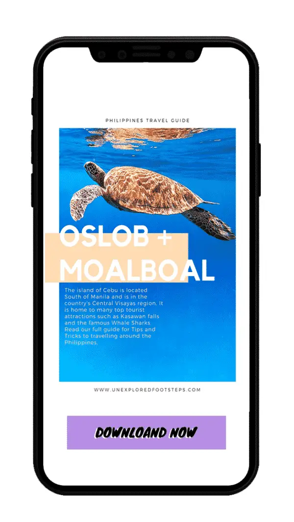 Oslob and Moalboal - The Travel Guide - Unexplored Footsteps