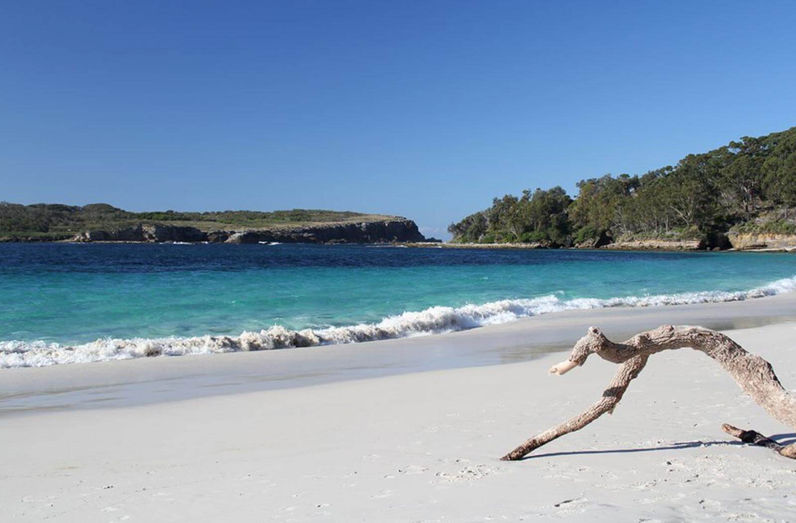 Things To Do In Jervis Bay - Our complete travel guide