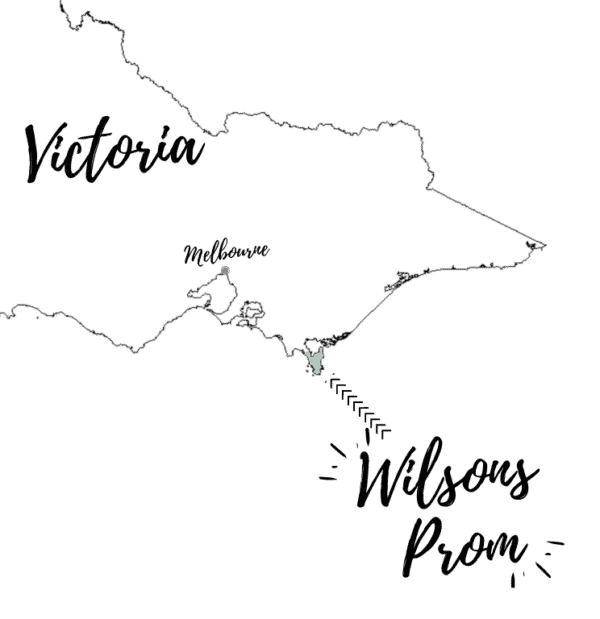 Things to do in Wilsons Prom - Our travel guide to the Promontory