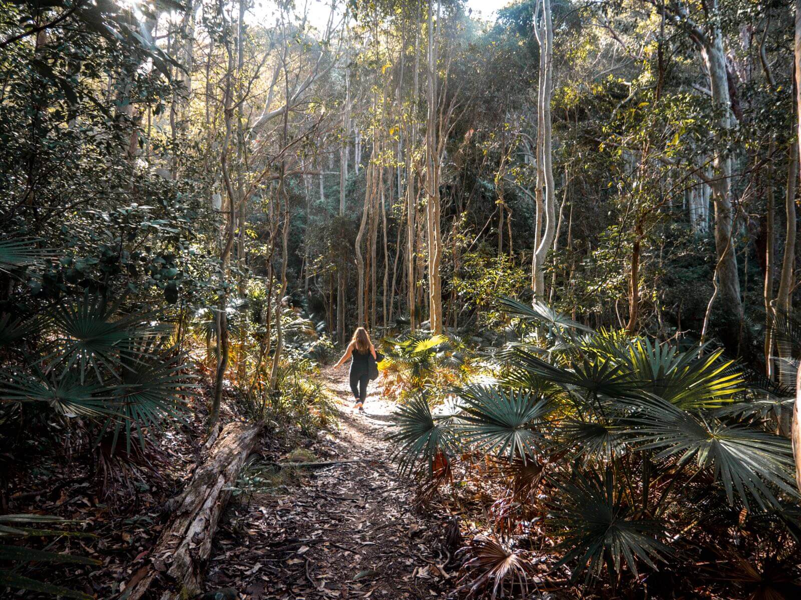 Things To Do In Batemans Bay - Our complete travel guide