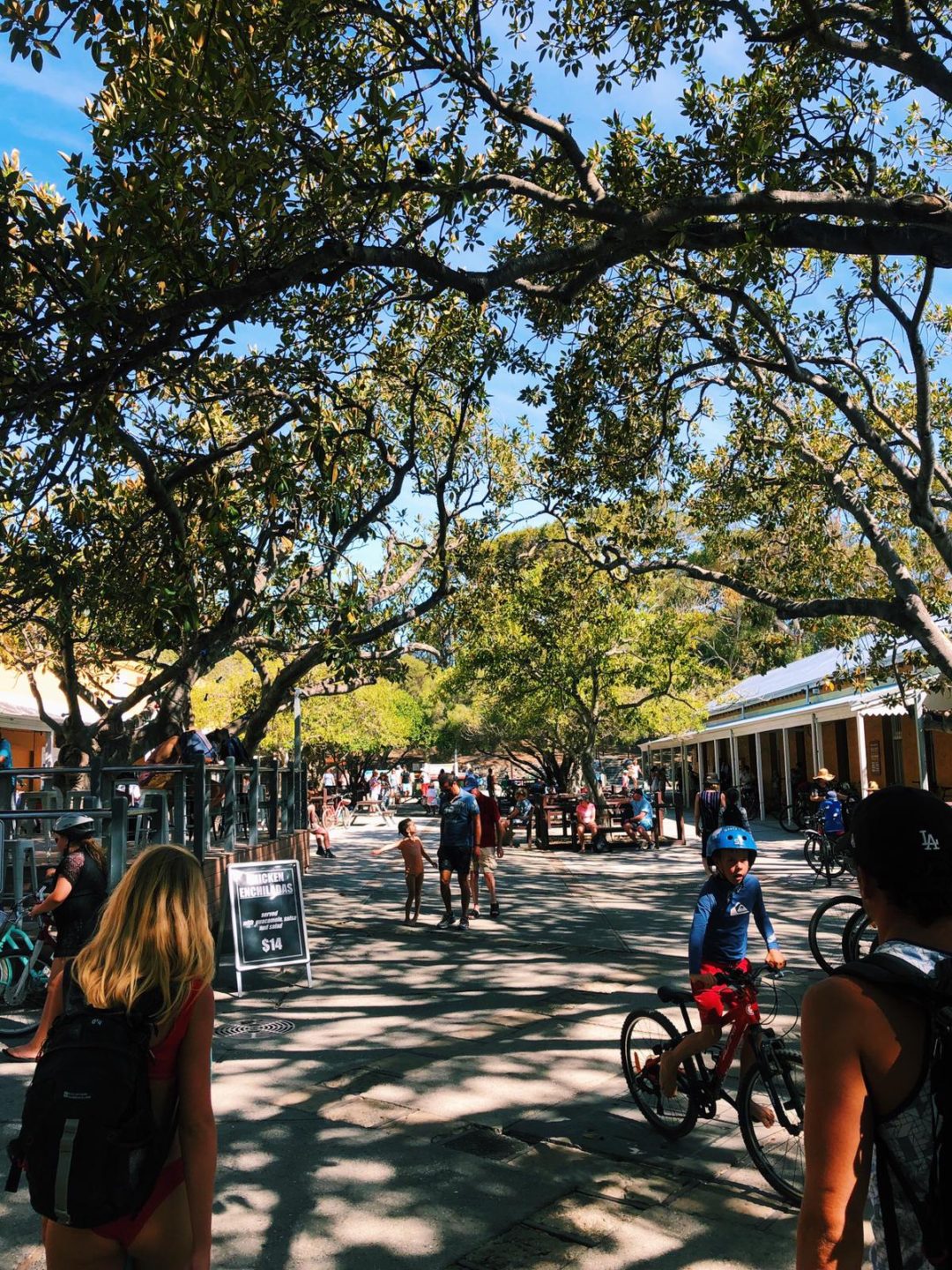 Rottnest Island 101 - A guide to the Island - Unexplored Footsteps